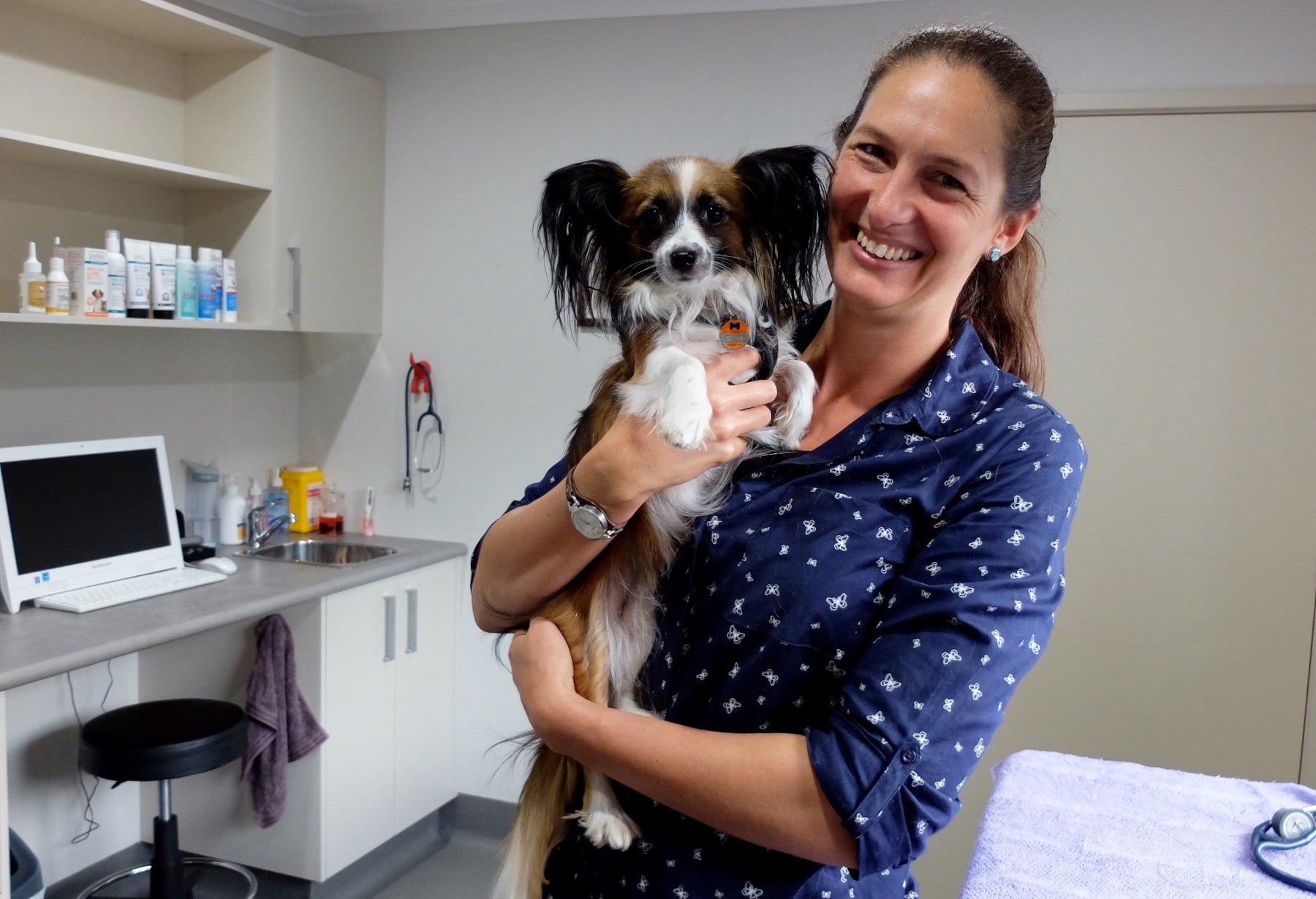 Wellbeing for Dogs | Nutrient Blends For Dogs