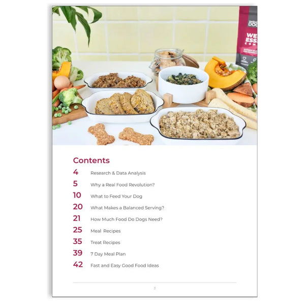 Real Food For Dogs: Home Cook Recipe Book - Wellbeing for Dogs