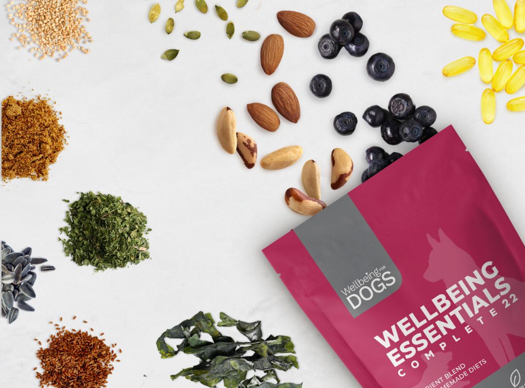 Wellbeing for Dogs | Nutrient Blends For Dogs
